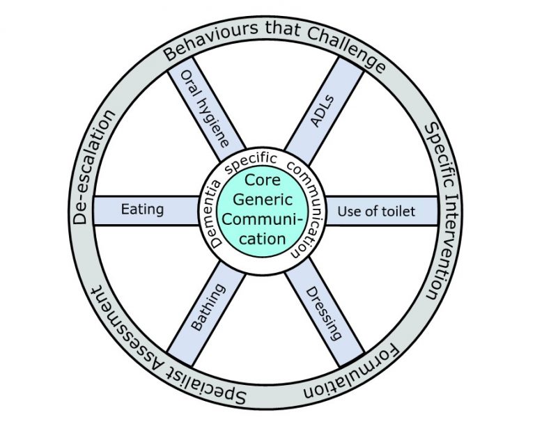 Programme Structure - Cumbria, Northumberland, Tyne and Wear NHS ...