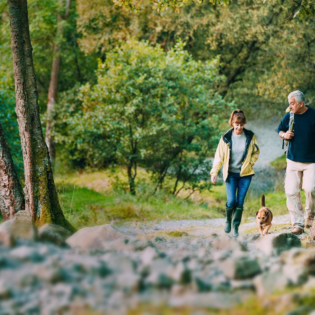 lakes-walking-image- Cumbria, Northumberland, Tyne and Wear NHS ...