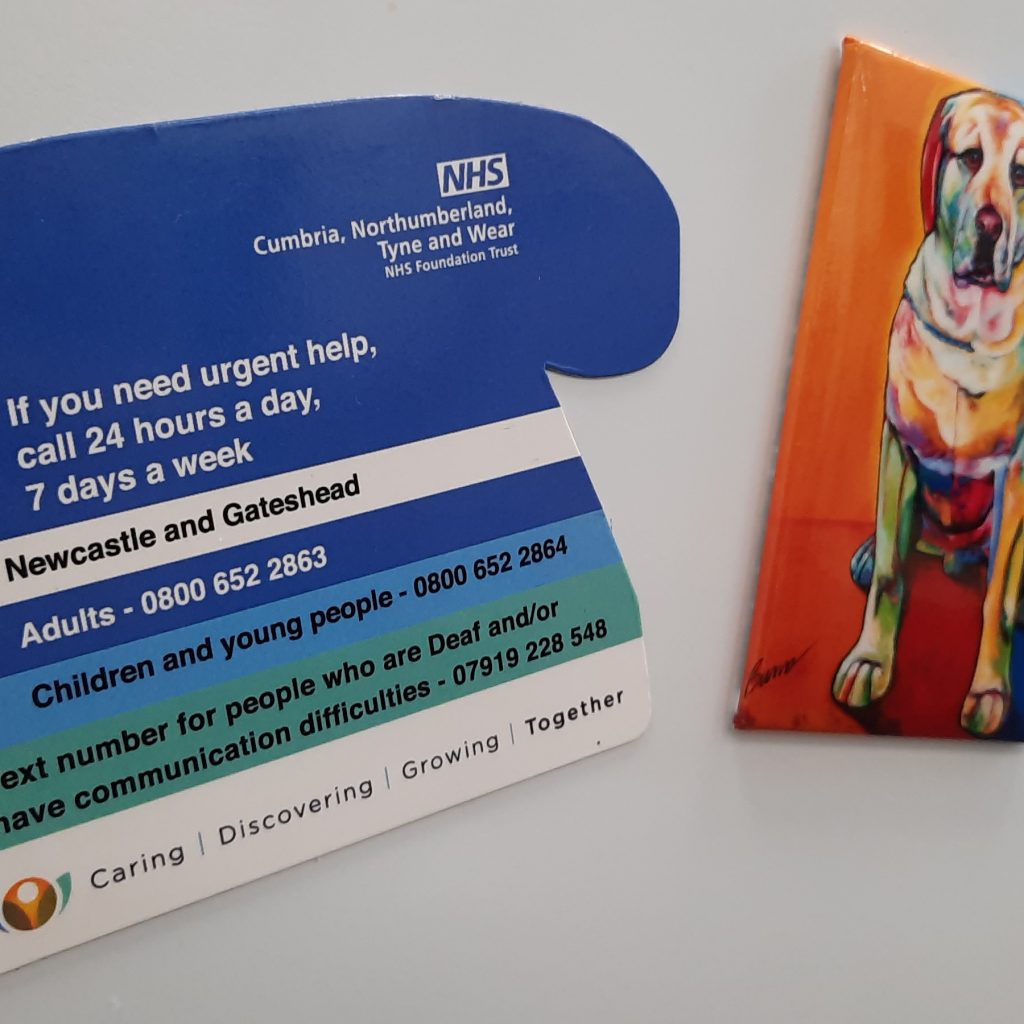 It’s International Women’s Day! - Cumbria, Northumberland, Tyne and ...